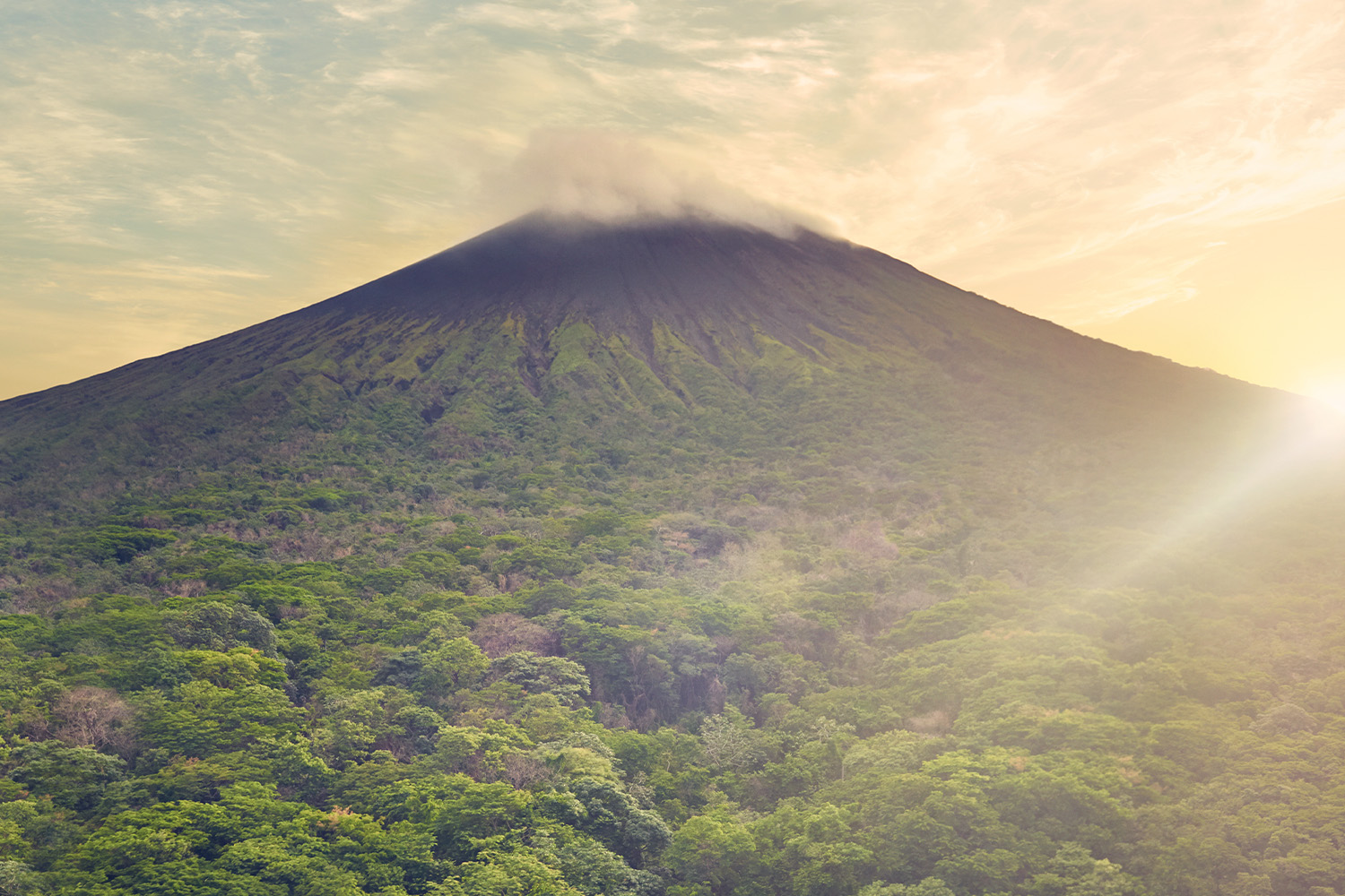 This Rich and Complex Aged Rum From Nicaragua is Essential for Summer ...